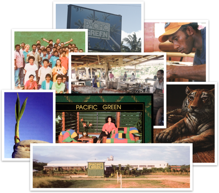 About - PACIFIC GREEN FURNITURE : Exotic Palmwood furniture designs